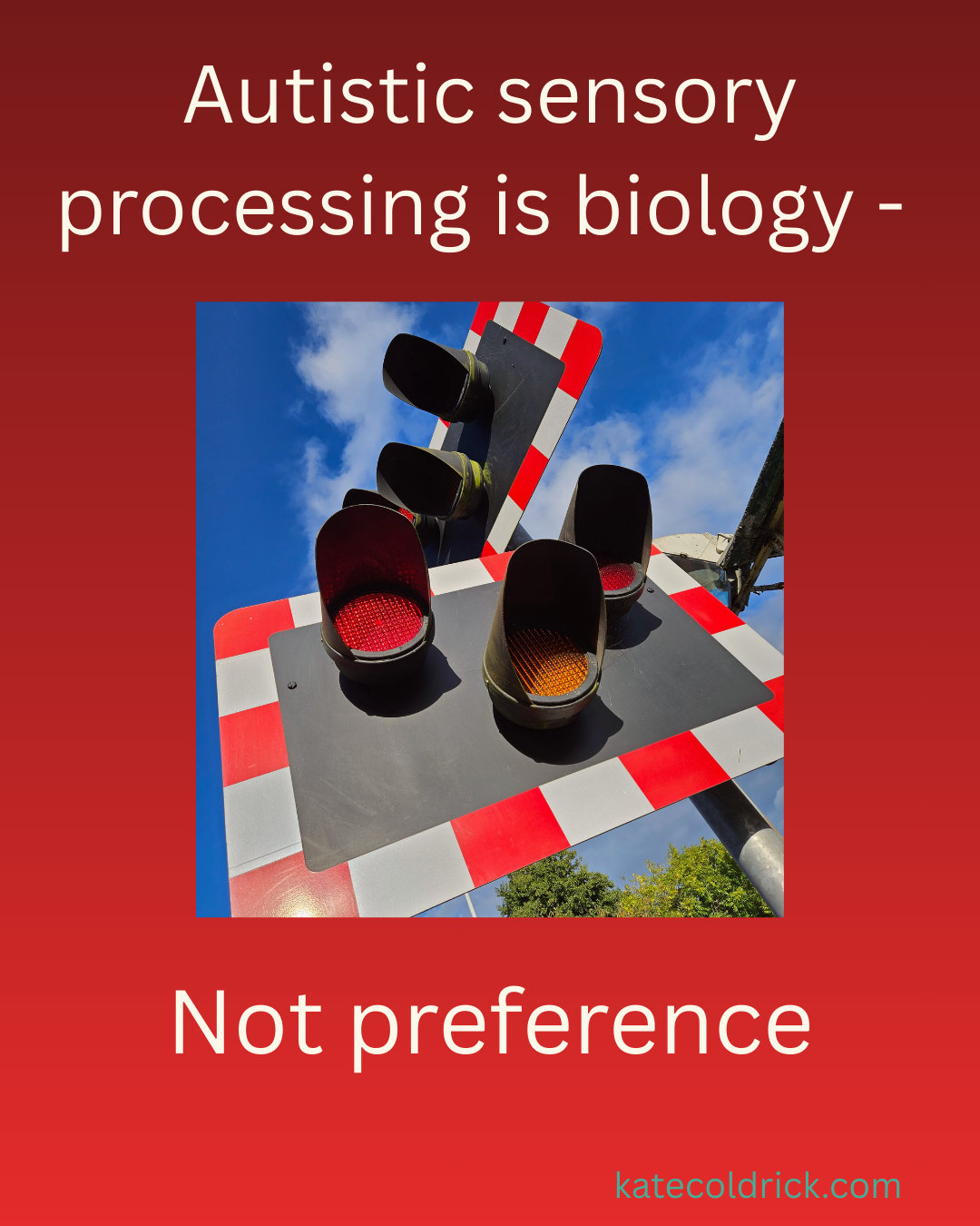 Why Neurobiology Matters in Understanding Autistic Sensory Experience ...